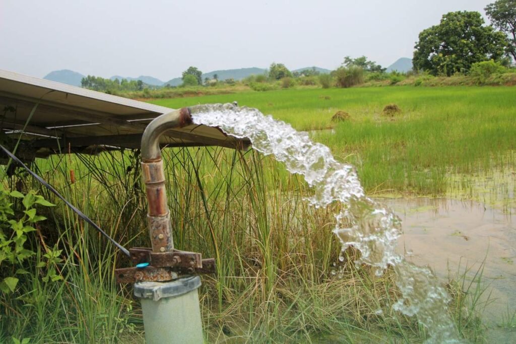 Water Purifiers Vs Boiling Water: Choosing the Best Water Treatment Method
